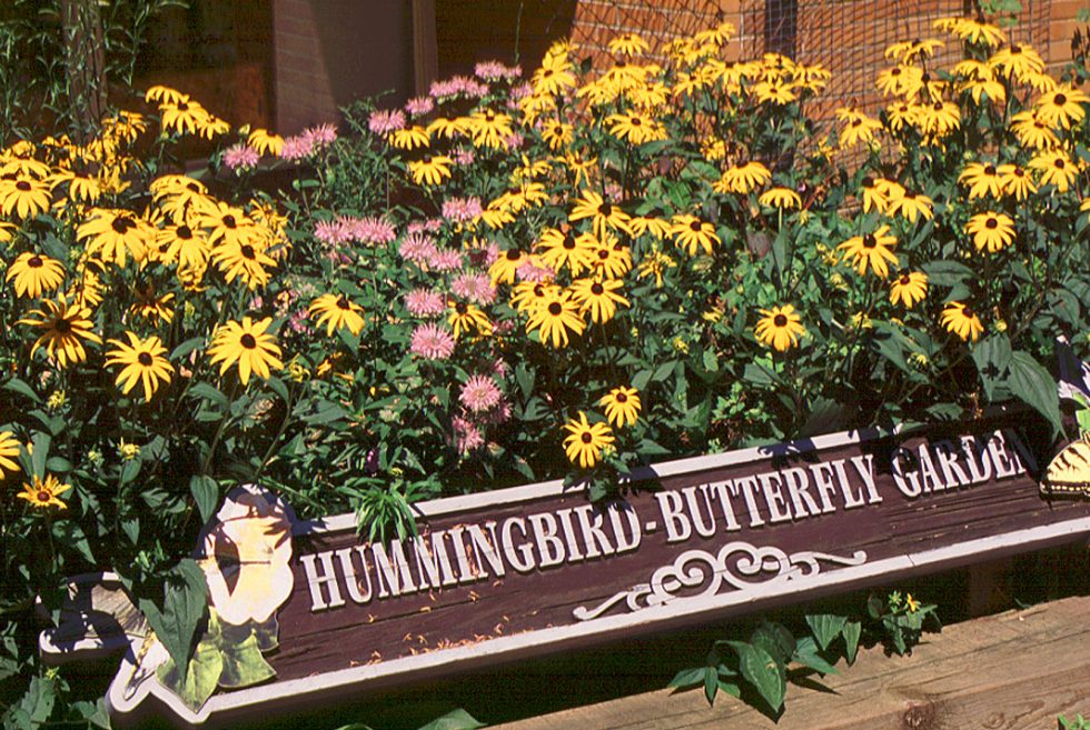 Woodlands Nature Station | Friends of Land Between the Lakes