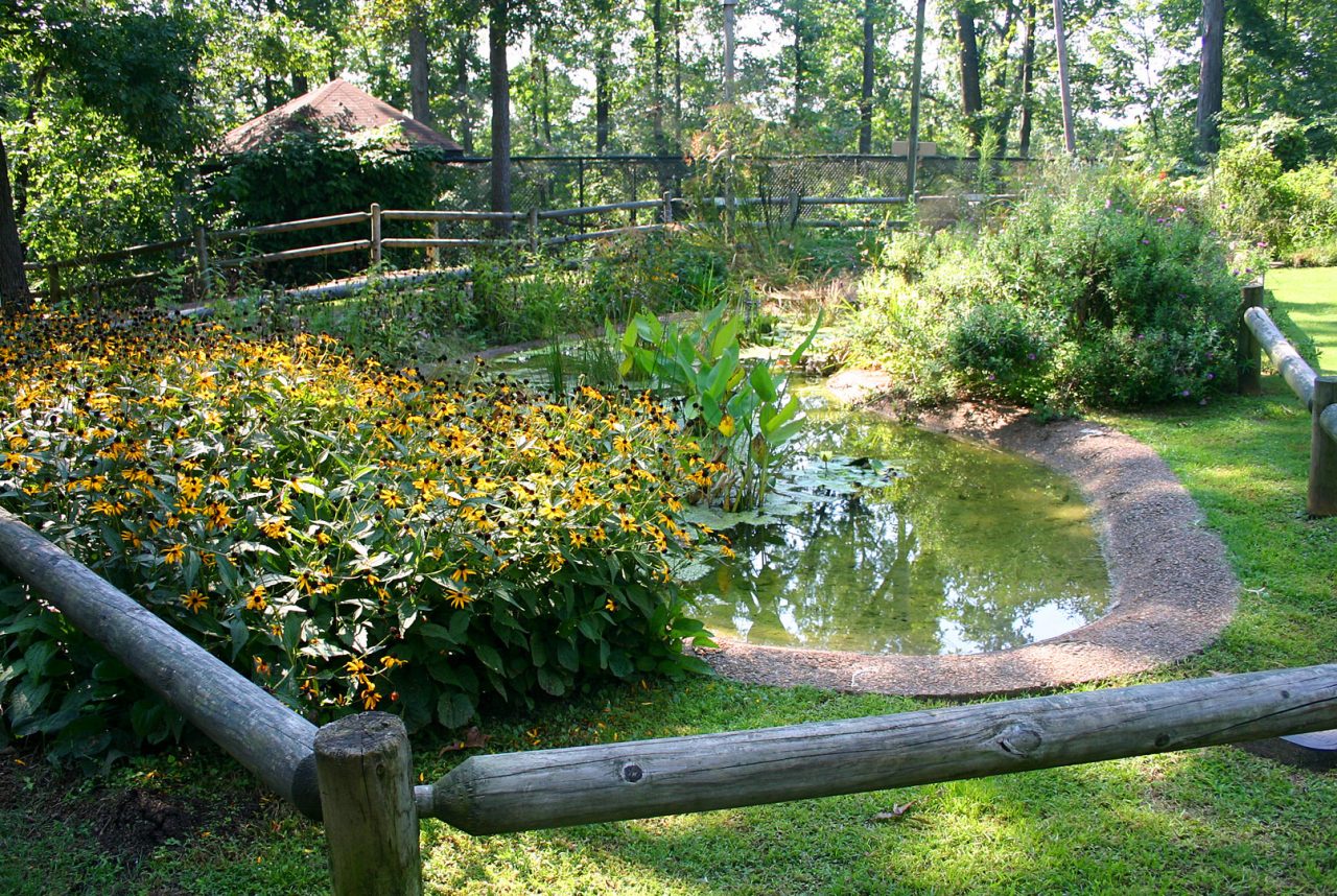 Woodlands Nature Station | Friends of Land Between the Lakes